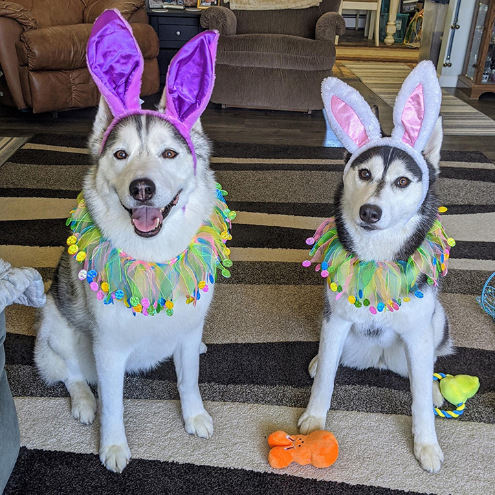 Area residents celebrate Easter | News, Sports, Jobs - The Alpena News